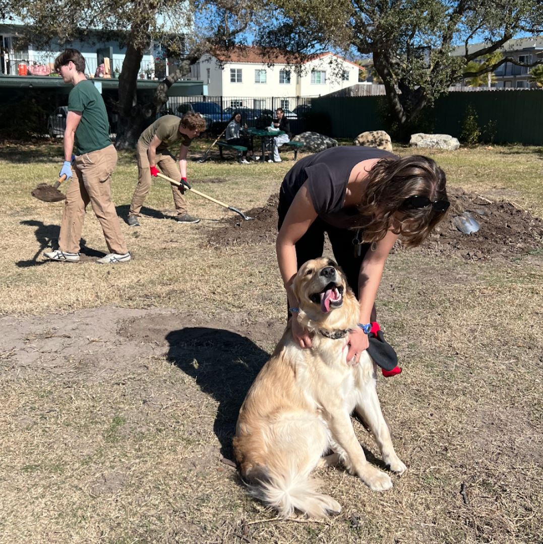 Volunteers keep ‘Bark’ park clean - Isla Vista Recreation and Parks ...